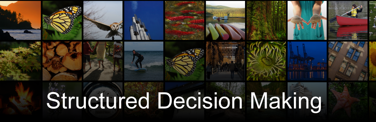 cropped-Header.png – Structured Decision Making