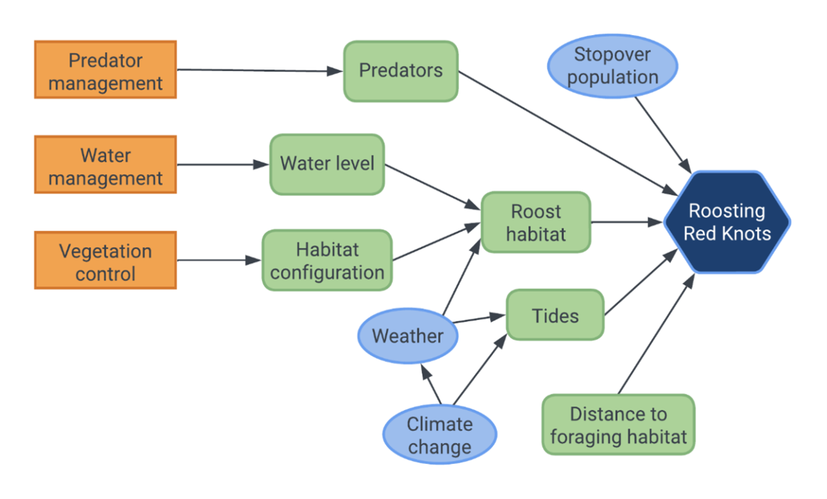 Conceptual models of cause and effect - Structured Decision Making